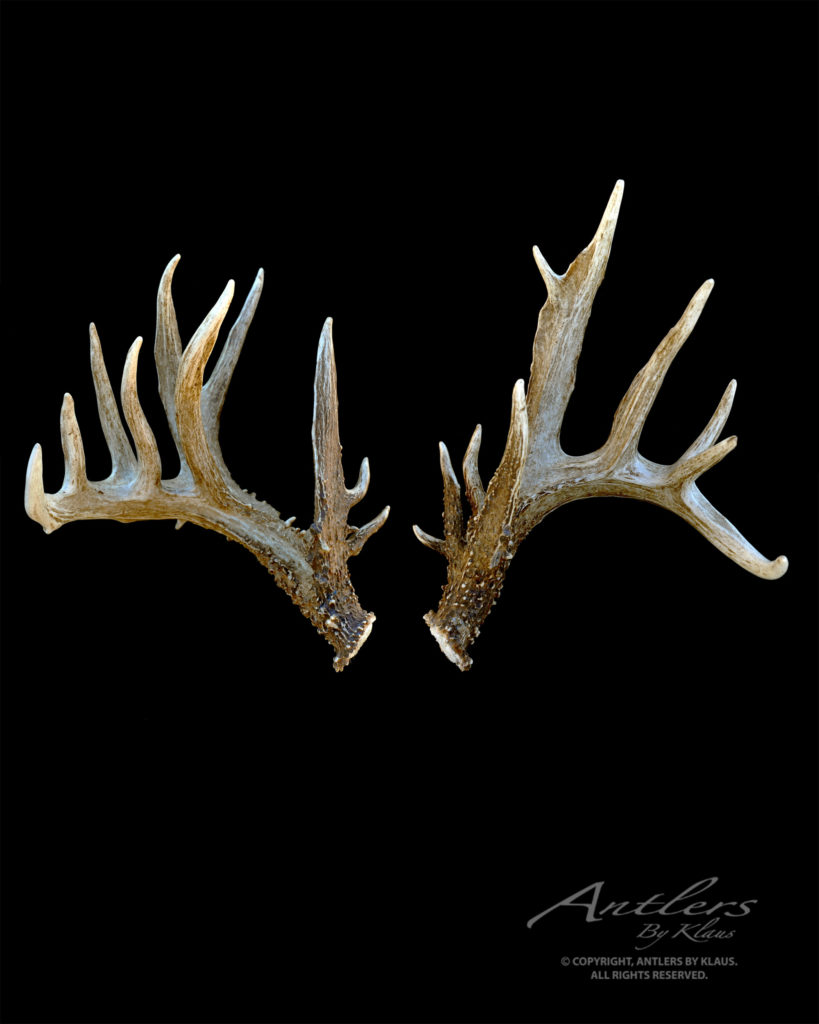 Dozer Sheds Set 2011 - Antlers by Klaus
