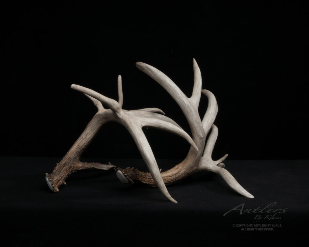 The Chally Sheds - Antlers by Klaus