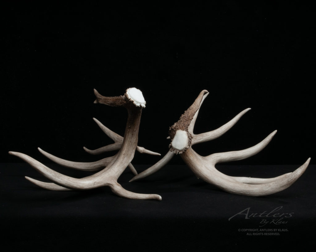 The Chally Sheds - Antlers by Klaus