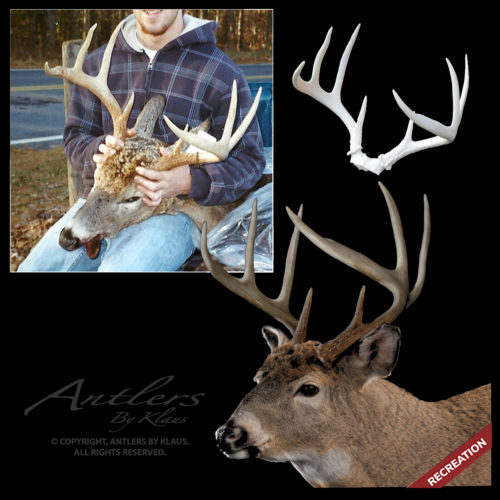 Custom Antler Reproductions | Antlers by Klaus