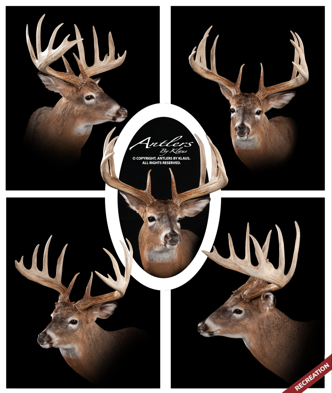 Custom Antler Reproductions | Antlers by Klaus