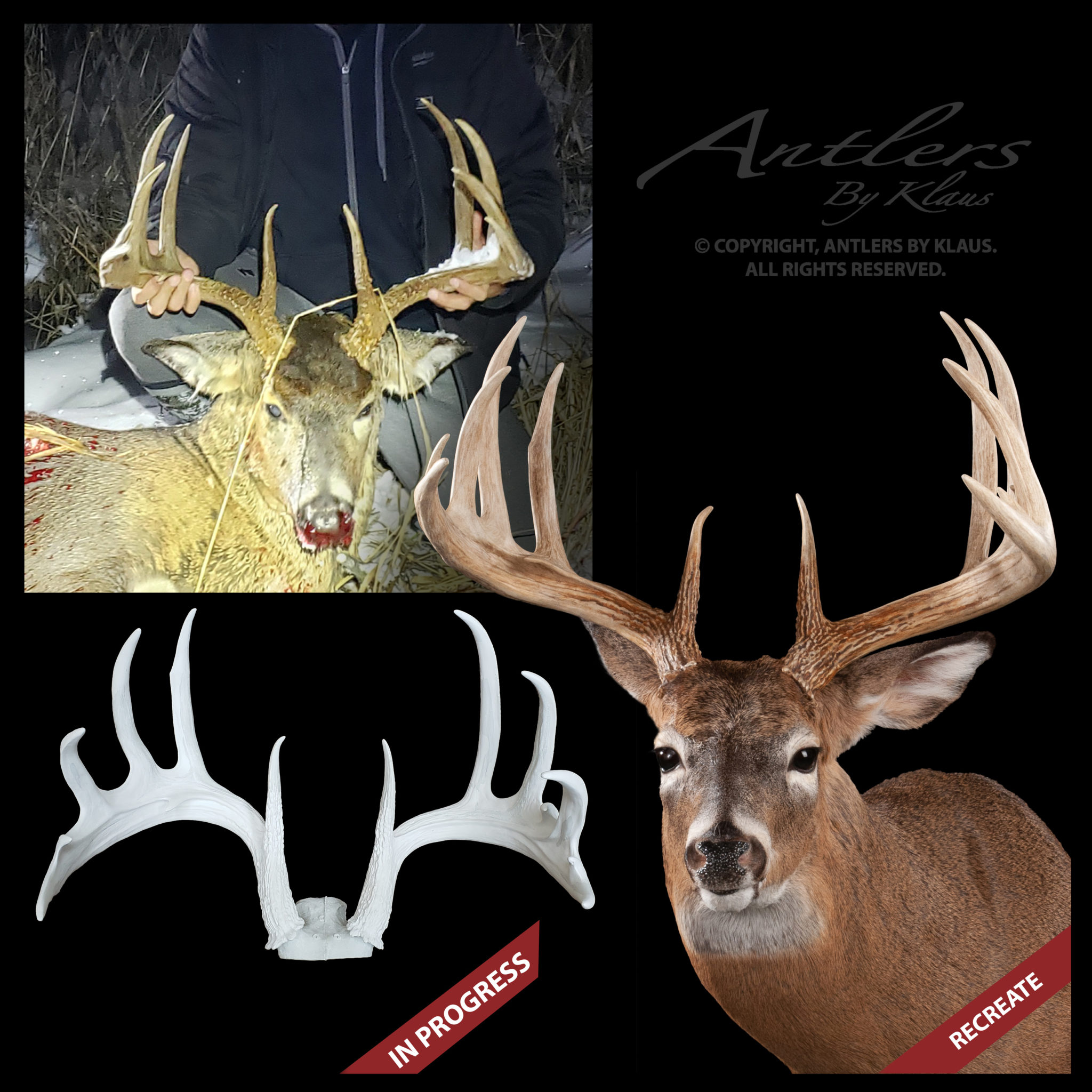 Custom Antler Reproductions | Antlers by Klaus